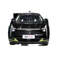 China 100% Electric Car Neta U Nezha U-II 500 Pure Electric Motor Power SUV for Adult in 2023 for sale