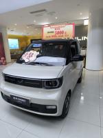 China Left Steering Wuling Mini Electric Car with Max Speed of 100 Km/h and 4 Seats 120km for sale