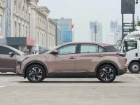 China Neta U-II 500 's Latest Electric SUV for Household 500km Pure Electric Range in Brown for sale