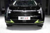 China Energy Vehicles Neta U Nezha U-II 500 Pure Electric Motor Power SUV for Adult Optional for sale
