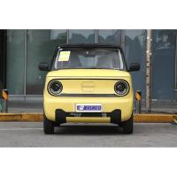 China Rear Camera Equipped Geely Panda Mini Energy Vehicle with 200km Range and 3 Cylinders for sale