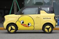 China Rear Camera Equipped Geely Panda Mini Energy Vehicle with 200km Range and 3 Cylinders for sale