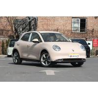 China Energy Vehicles 2024 White Great Wall Ora Good Cat 400 Light Edition EV Car for Adult for sale