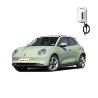 China Electric Parking Brake 2024 Great Wall Ora Good Cat Car with Car Entertainment System for sale