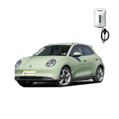 China Electric Parking Brake 2024 Great Wall Ora Good Cat Car with Car Entertainment System for sale