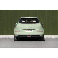 China Electric Parking Brake 2024 Great Wall Ora Good Cat Car with Car Entertainment System for sale