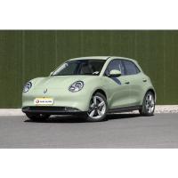 China Electric Parking Brake 2024 Great Wall Ora Good Cat Car with Car Entertainment System for sale