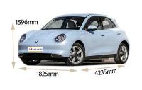 China 2024 Good Cat Used Electric Car with 360° Rear Camera and Automatic Air Conditioner for sale