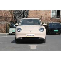China Great Wall ORA Good-cat 401km 501km Auto Energy Electric Car 2022 Within Your Budget for sale
