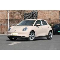 China Great Wall ORA Good-cat 401km 501km Auto Energy Electric Car 2022 Within Your Budget for sale