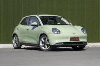 China 2024 ORA Good Cat Electric Car with 49.9KWH Battery Capacity and 210N.m Maximum Torque for sale