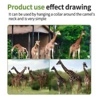 China 20000mAh Wildlife GPS Tracker with 6-9 Month Standby for Giraffe and Livestock Monitoring for sale
