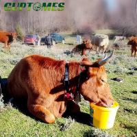 China 30000mAh Rugged Cattle GPS Tracker with GPS BDS WiFi Multi Positioning for Livestock for sale
