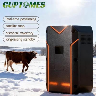 China Rugged GPS Livestock Tracker 20000mAh Battery IP67 Waterproof 106x71mm for Cattle Sheep Farm Management for sale