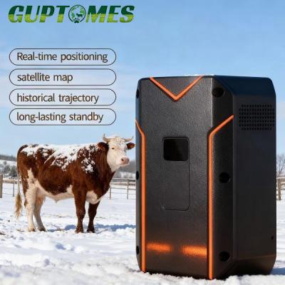 China 20000mAh GPS Cattle Tracker with 5-6 Month Standby for Real-Time Livestock Monitoring and Asset Tracking for sale