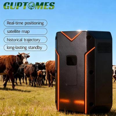 China Livestock GPS Tracker with 20,000mAh Battery and 6-Month Standby for Cattle Monitoring - 106mm×71mm×45mm Rugged Design for sale