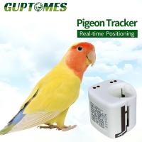 China FeatherWatch V11 GPS Tracker for Birds - 5.4g Weight, 80mAh Battery, 24-48hrs Tracking Life for sale