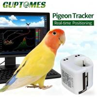 China Companion V11 GPS Tracker for Small Pets - 5.4g Ultra-Lightweight Design with 24-48 Hour Battery Life for sale