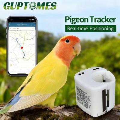 China GPS LBS Dual Mode Bird Parrot Tracker 2G - 5.4g Ultra-Lightweight Design with 20×20×20mm Dimensions for Small Birds for sale