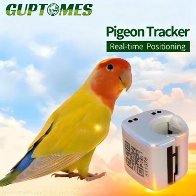 China GuardianLite GPS Tracker V11 - 5.4g Ultra-Light Bird Tracker with 80mAh Battery and GPS+LBS Dual Positioning for sale