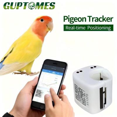 China Mini 5.4g GPS Pigeon Tracker with 80mAh Battery, 20×20×20mm Real-Time Positioning for Racing Birds and Small Pets for sale