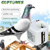 China V11 Pro GPS Pigeon Tracker 5.4g Waterproof Device with 80mAh Battery and 20mm Compact Design for sale