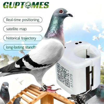 China V11 Pro GPS Pigeon Tracker 5.4g Waterproof Device with 80mAh Battery and 20mm Compact Design for sale