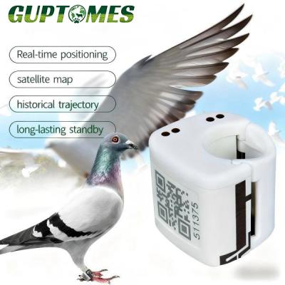 China GUPTOMES V11 Pigeon GPS Tracker 5.4g Ultra Compact with 80mAh Battery for Real-Time Flight Monitoring for sale