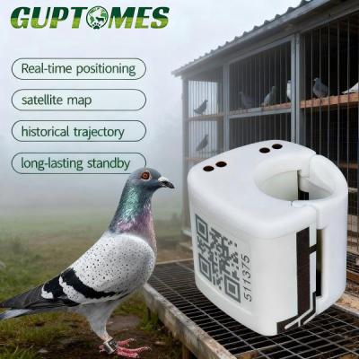 China GUPTOMES V11 5.4g Pigeon GPS Tracker with 80mAh Battery and 5-10m Accuracy for Racing Birds for sale