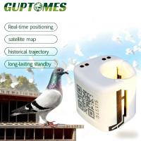 China GUPTOMES V11 20x20mm Pigeon GPS Tracker with 80mAh Battery and 5-15m Accuracy for Racing Performance for sale