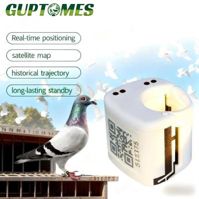 China GUPTOMES V11 20x20mm Pigeon GPS Tracker with 80mAh Battery and 5-15m Accuracy for Racing Performance for sale