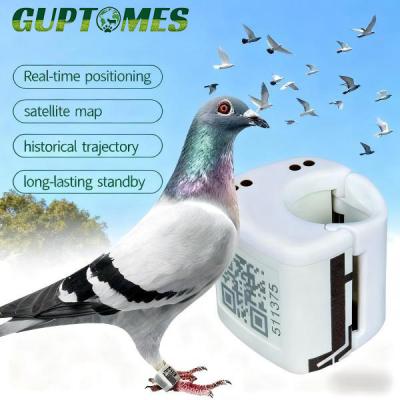 China V11 Mini Pigeon GPS Tracker - 5.4g Ultra-Lightweight, 80mAh Battery, 20×20×20mm Waterproof Design for sale