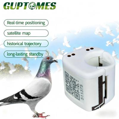China V11 Pro Racing Pigeon GPS Tracker - 5.4g Ultra-Lightweight with GPS+LBS Dual Positioning and 80mAh Battery for sale