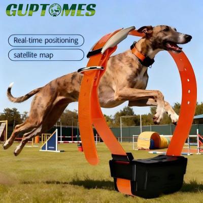 China GUPTOMES T10 GPS Dog Tracker with 4000mAh Battery and 5-15m Accuracy for Real-Time Pet Location Monitoring for sale