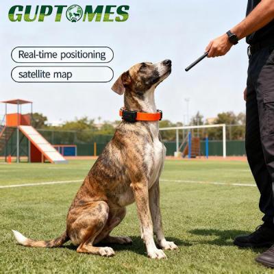 China Dog GPS Tracking Collar with 4000mAh Battery and ±15m GPS Accuracy - Electronic Fence & Historical Trajectory for sale