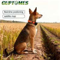 China GUPTOMES T10 Pro GPS Dog Tracking Collar with 4000mAh Battery and 5-15m Dual-Mode Positioning for sale