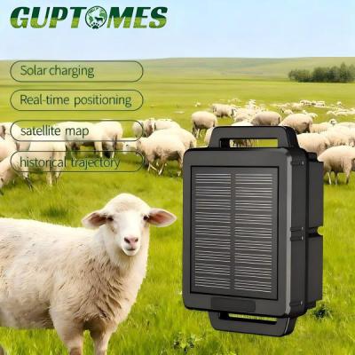China GPS BDS AGPS Multi-Mode Livestock Tracker with 10,000mAh Solar Battery and 1 Meter Accuracy for Sheep Monitoring for sale
