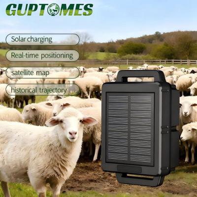 China IP68 Waterproof Solar GPS Tracker for Sheep 89x72x39mm with 10000mAh Battery and Real-Time Tracking for sale