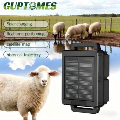 China Solar-Powered Sheep GPS Tracker with 10000mAh Battery and 1-Meter Precision for Livestock Monitoring for sale