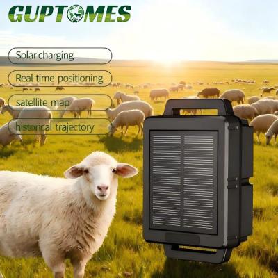 China IP68 Waterproof Solar GPS Tracker for Sheep with 10000mAh Battery and 1-Meter Positioning Accuracy for sale