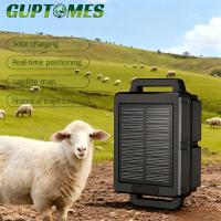 China Compact Sheep GPS Tracker 250g with 10000mAh Battery, IP68 Waterproof and Solar Charging for Livestock Management for sale