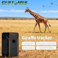 China CE Approved Wildlife GPS Tracker for Giraffes - 20,000mAh Battery, 6-9 Month Standby, 5-15m Accuracy for sale