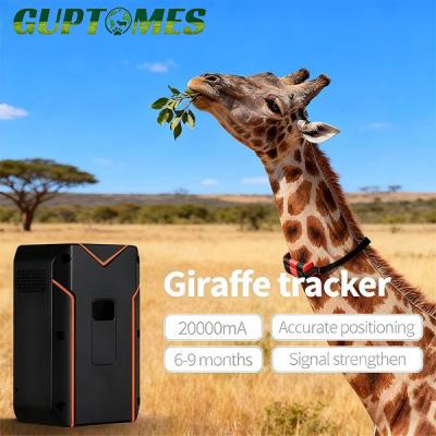 China Voice Intercom Wildlife GPS Tracker with 20,000mAh Battery and 5-15m Accuracy for Large Animal Monitoring for sale