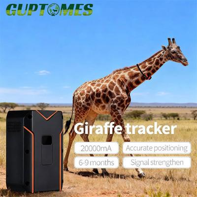 China WildTracker Pro S10 GPS Wildlife Collar with 20000mAh Battery and 5-15m Accuracy for Large Animal Tracking for sale