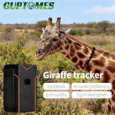 China Dual Mode Wildlife GPS Tracker with 20,000mAh Battery and 5-15m Accuracy for Remote Area Monitoring for sale