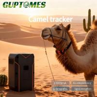China 20000mAh GPS+BDS Livestock Tracker with 6-9 Month Standby for Camel and Cattle Monitoring for sale