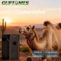 China S10 GPS Livestock Tracker with 20,000mAh Battery and 412g Compact Design for Cattle Monitoring for sale
