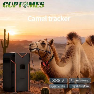 China S10 GPS Livestock Tracker with 20,000mAh Battery and 412g Compact Design for Cattle Monitoring for sale