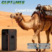 China Guardian Pro GPS Tracker with 20,000mAh Battery and Voice Intercom - 6-9 Month Standby for Livestock Monitoring for sale