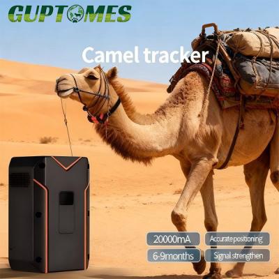 China Guardian Pro GPS Tracker with 20,000mAh Battery and Voice Intercom - 6-9 Month Standby for Livestock Monitoring for sale